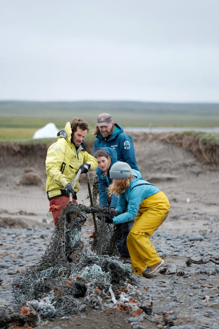 association ARVIK Ocean - Initiatives citoyennes pour l'océan